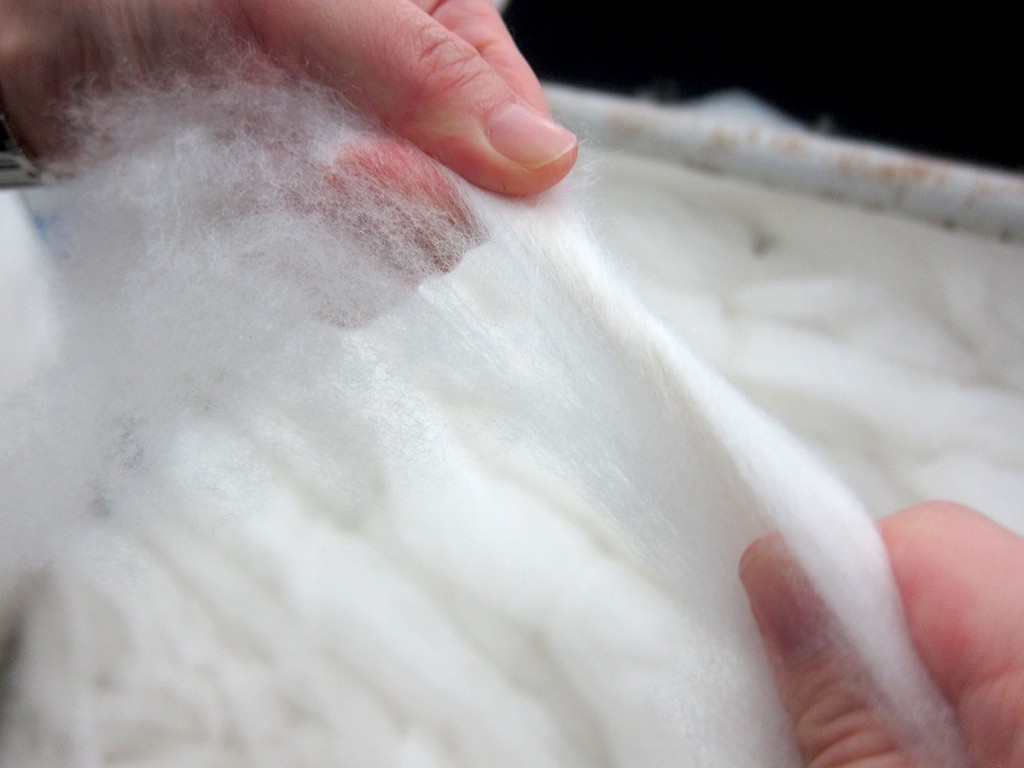 About Cashmere – Paychi Guh